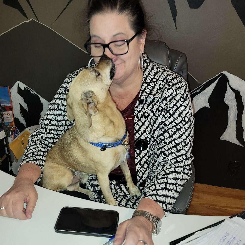 Dogs - 4 Amazing Reasons You Will Find Them At Our Office - Swizzle