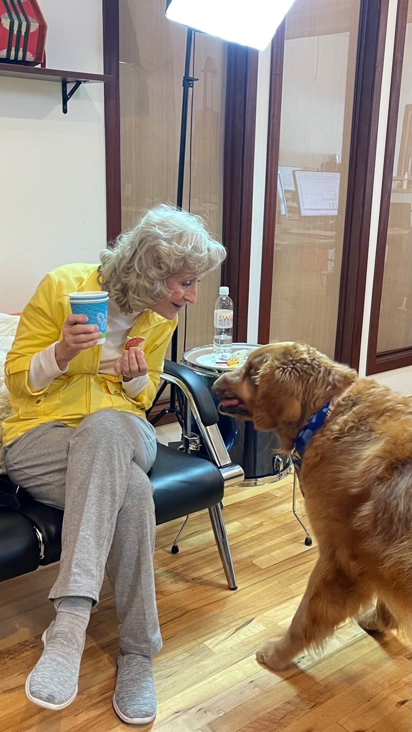 Dogs - 4 Amazing Reasons You Will Find Them At Our Office - Swizzle